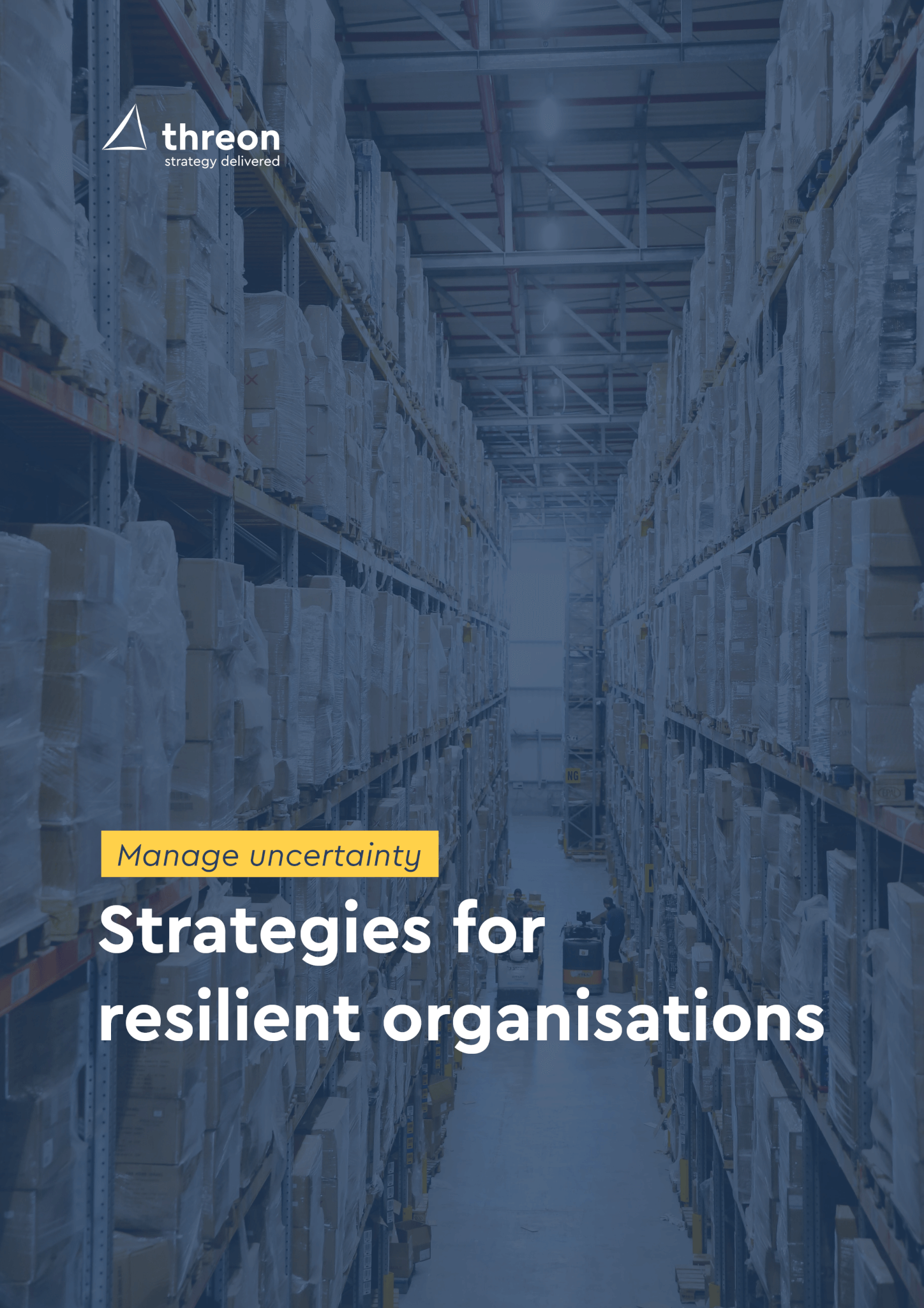 Download the Strategies for resilient organisations guide